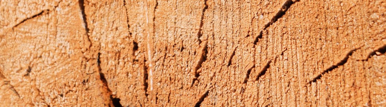 Madera de Acacia - Karol Dekora